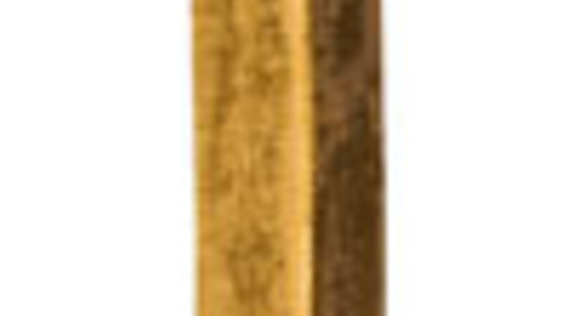 Cardinal Numbers | STANFORD magazine