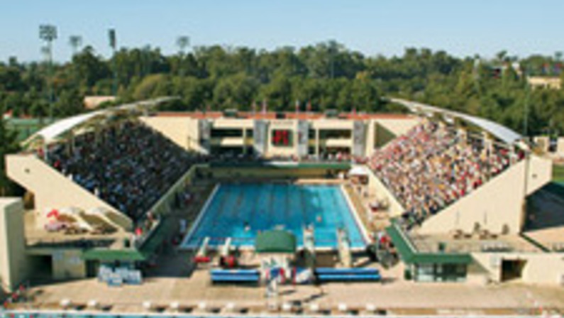 NCAA Calling | STANFORD magazine