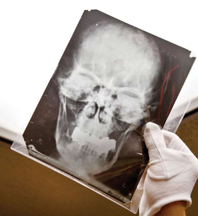 The Horse's Mouth | STANFORD magazine