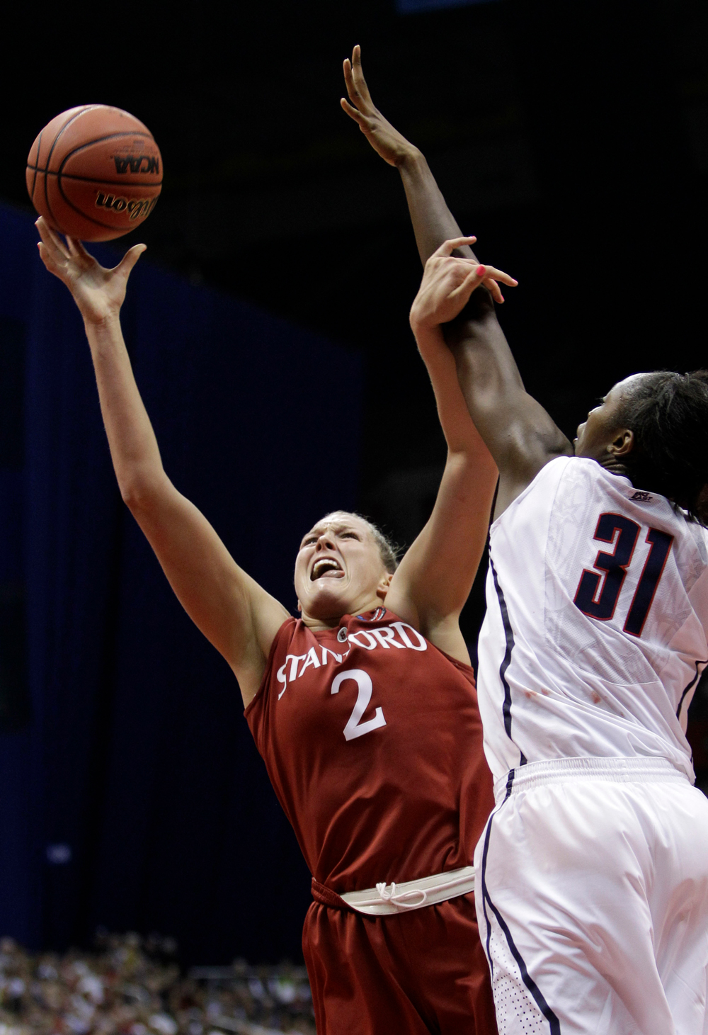 A Bittersweet Year | STANFORD magazine