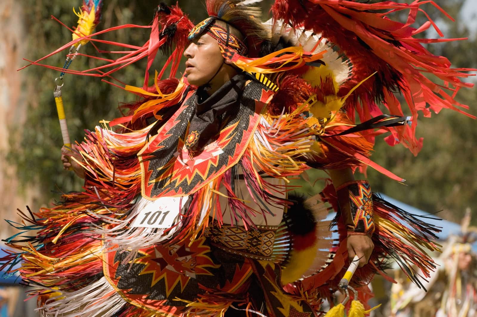 50 Years of Powwow | STANFORD magazine