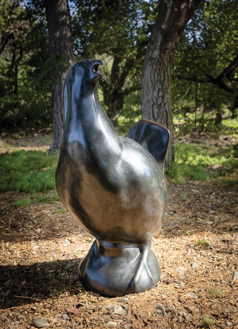 For the Birds | STANFORD magazine