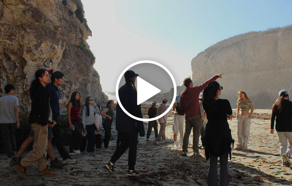 New use for CO2; beef is back; Olympics fashion | STANFORD magazine