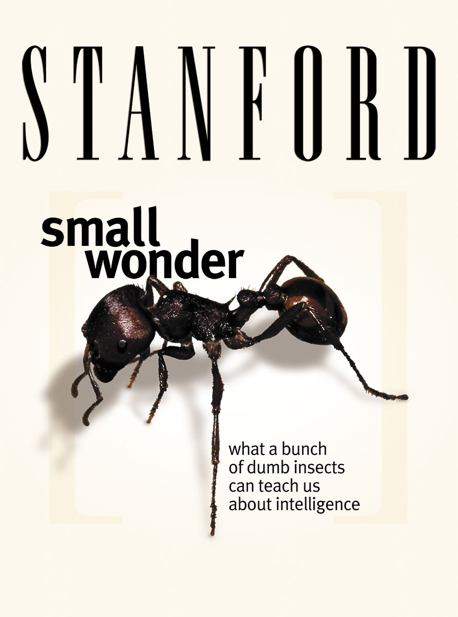 January/February 2002 | STANFORD magazine